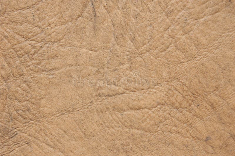 152 Textura De Cuero Beige Artificial Fotos - Libres de Derechos y ...