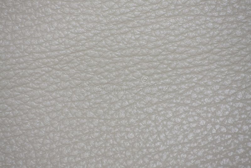 Textura De Cuero De La Piel Imagen De Archivo Imagen De Piel Modelo