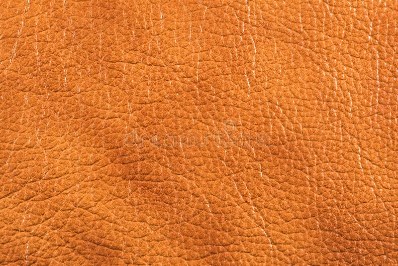 Textura De Cuero Natural Imagen. Imagen: 5568848