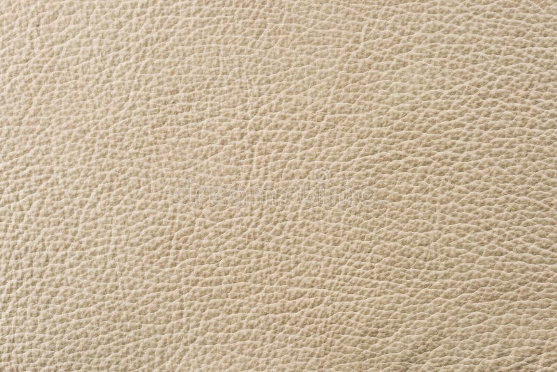 Textura de cuero natural imagen de archivo. Imagen de macro - 5643003