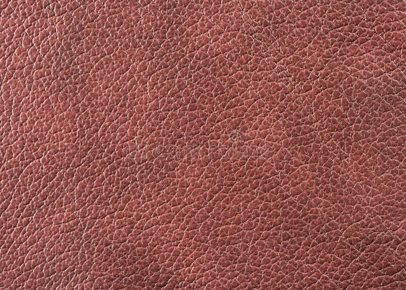 Textura De Cuero Natural Imagen. Imagen: 6129678