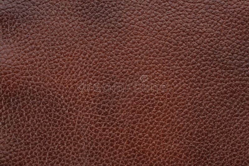 Textura de cuero natural foto de archivo. Imagen de animal - 7334732