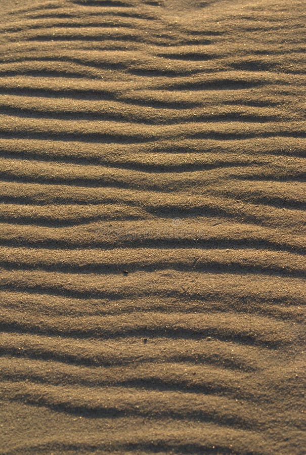 Textura De La Arena Imagen. Imagen: 20969170