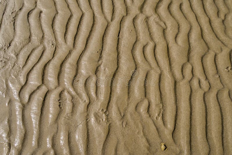 Textura De La Arena Amarilla Foto de archivo - Imagen de color, hermoso ...