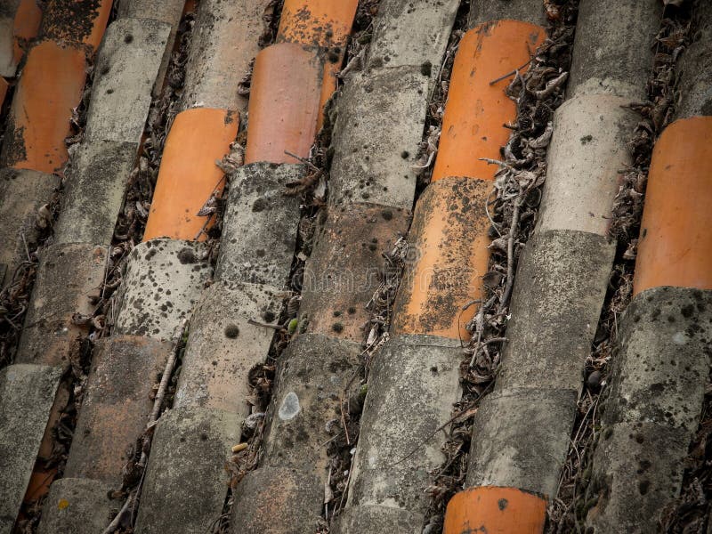 Textura de la azotea foto de archivo. Imagen de textura - 25909932
