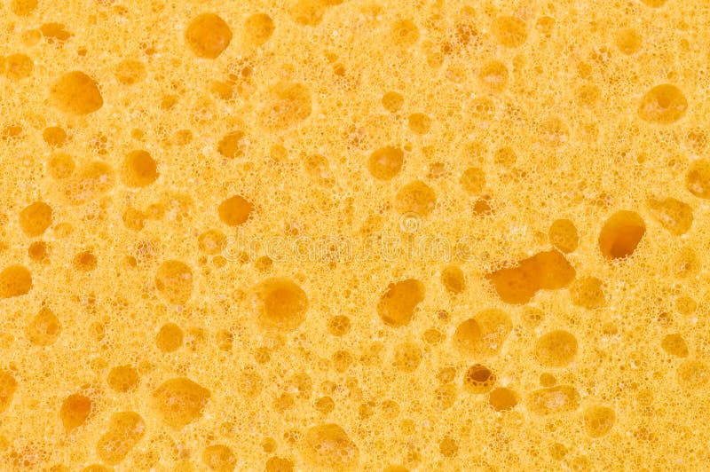 Textura de la esponja imagen de archivo. Imagen de parte - 28503597