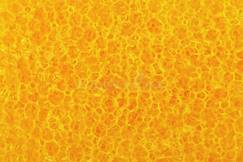 Textura de la esponja imagen de archivo. Imagen de suavidad - 28720363