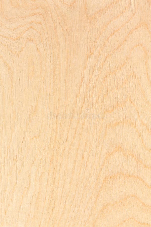 Textura De La Madera Contrachapada Del Abedul Foto de archivo - Imagen ...