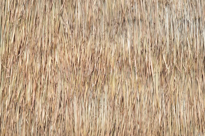 Textura de la paja foto de archivo. Imagen de estacional - 29131936