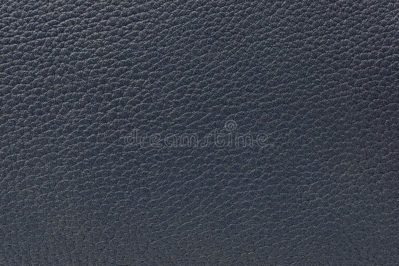 La Textura De La Piel Del Color Gris Foto de archivo - Imagen de ...