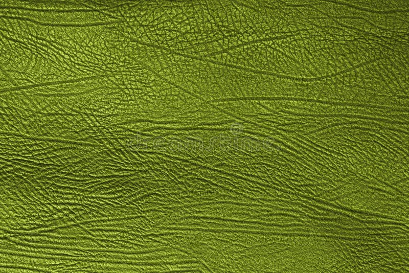 Textura de la piel foto de archivo. Imagen de calidad - 25201084