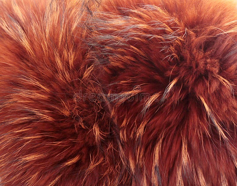 Textura de la piel imagen de archivo. Imagen de piel - 42759991