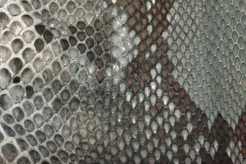 Textura De La Piel De Serpiente Foto de archivo - Imagen de textura ...
