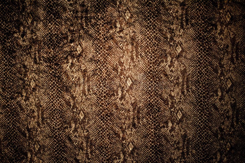 Textura De La Piel De Serpiente Imagen de archivo - Imagen de modelo ...