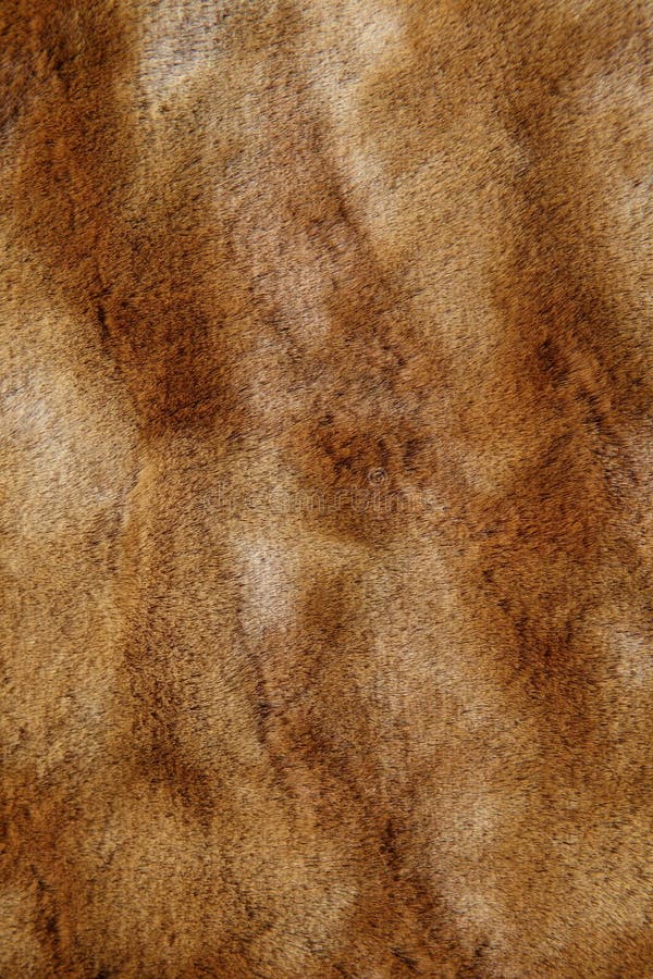 Textura de la piel. Fondo foto de archivo. Imagen de detallado - 16618646