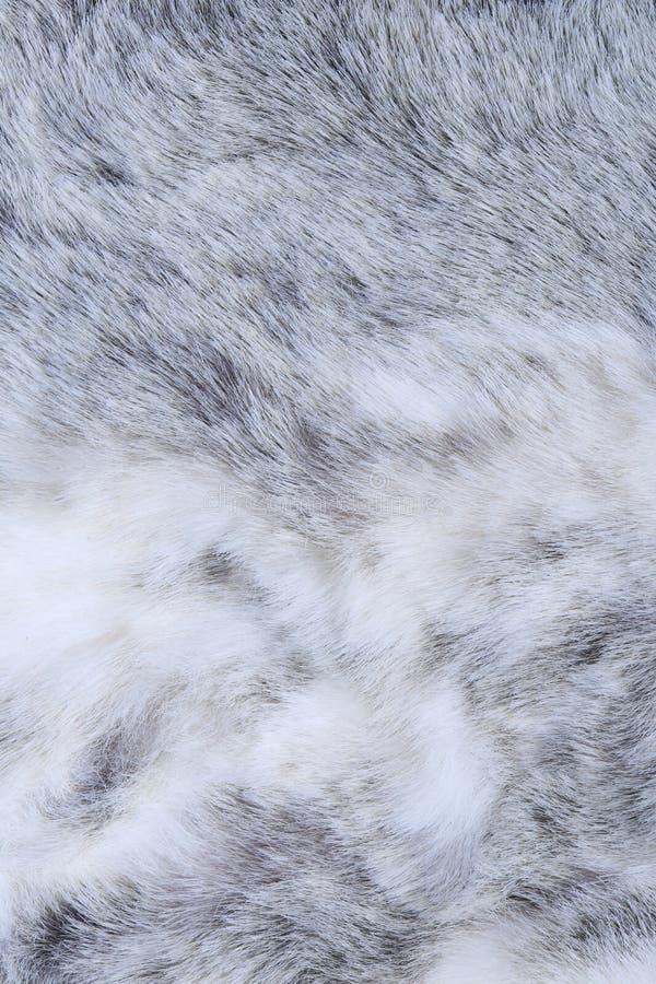 Textura de la piel gris foto de archivo. Imagen de piel - 52374530