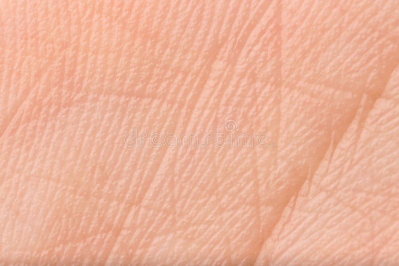 Textura De La Piel Humana, Primer Imagen de archivo - Imagen de ...