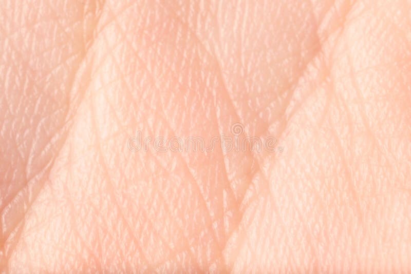 Textura De La Piel Humana, Primer Imagen de archivo - Imagen de primer ...