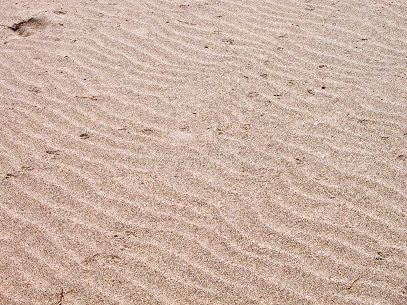 Textura De La Playa De La Arena Imagen de archivo - Imagen de playa ...