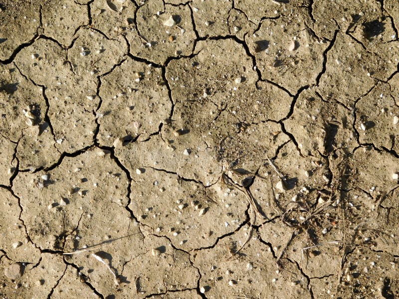 Textura de la tierra seca foto de archivo. Imagen de tierra - 91658124