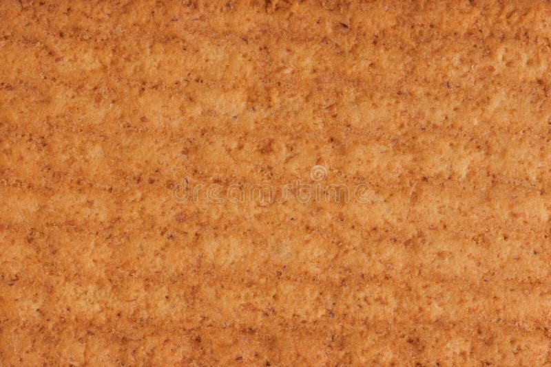 Textura de la galleta imagen de archivo. Imagen de tostado - 16230445