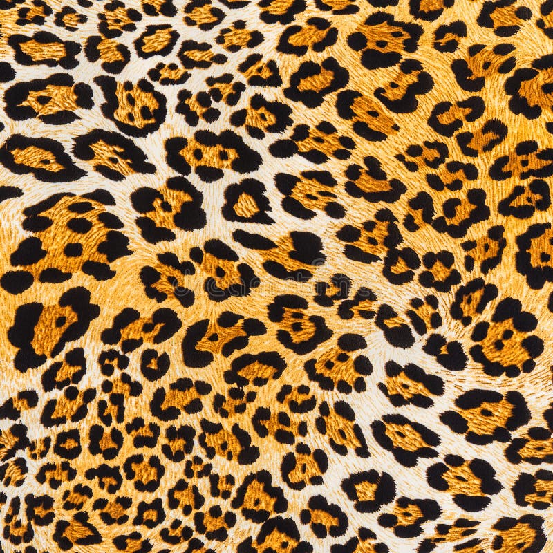 Textura De Leopardo Listrado Da Tela Imagem de Stock - Imagem de pele ...