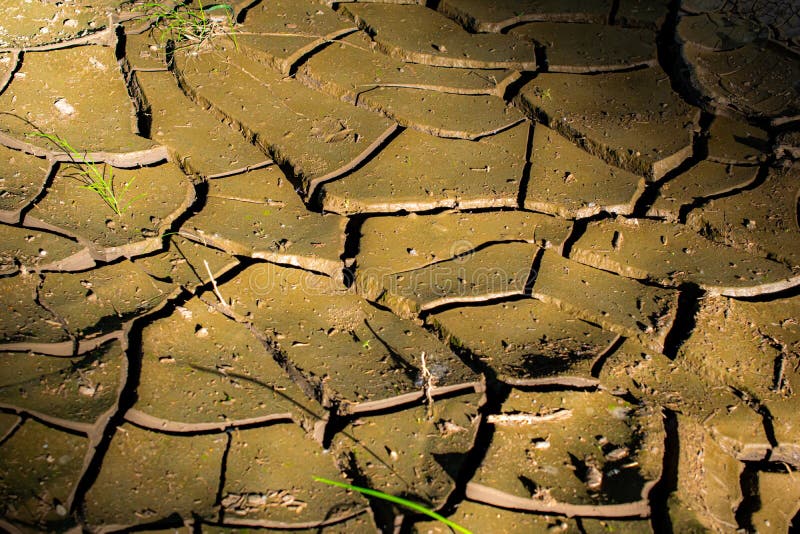 Textura De Limo De Barro Craqueado Seco Foto de archivo - Imagen de ...