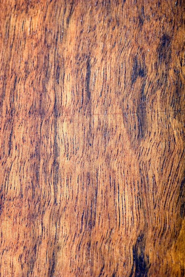 Textura de madeira imagem de stock. Imagem de listras - 5064673