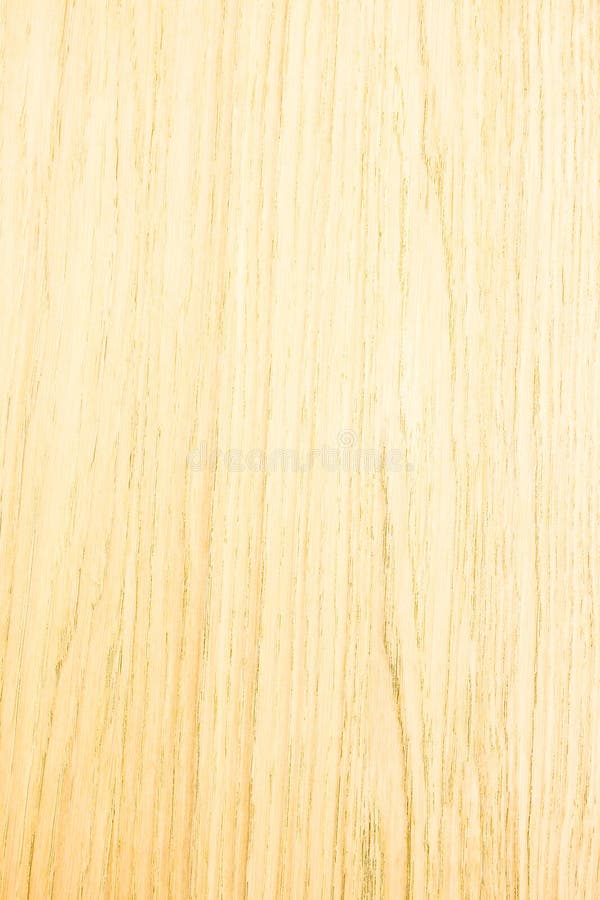 Textura de madeira clara foto de stock. Imagem de painel - 31736656