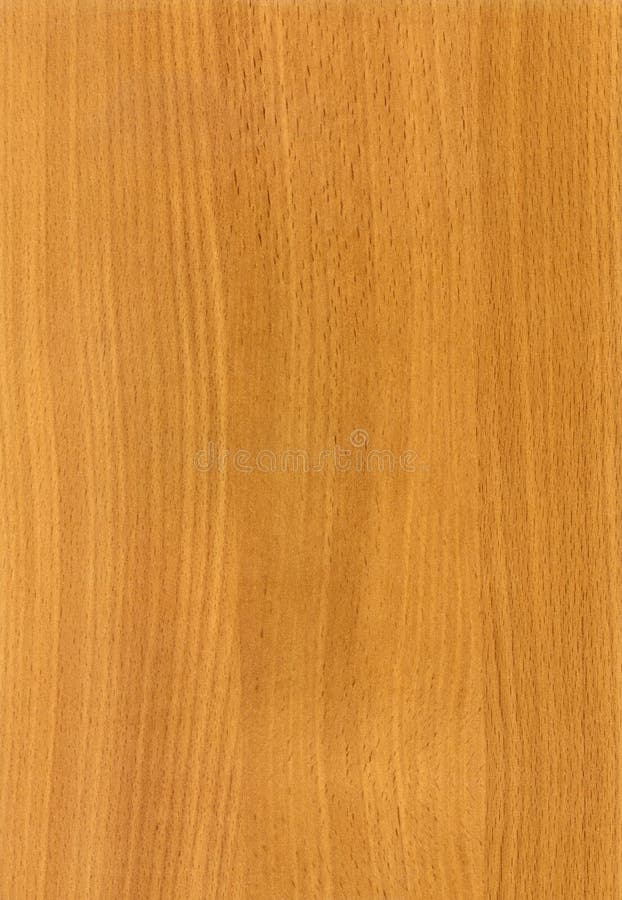 Textura De Madeira Da Faia Do QG Foto de Stock - Imagem de duro ...