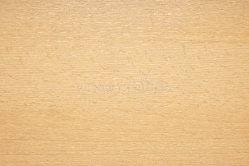 Textura De Madeira De Baviera Da Faia Do Close-up Imagem de Stock ...