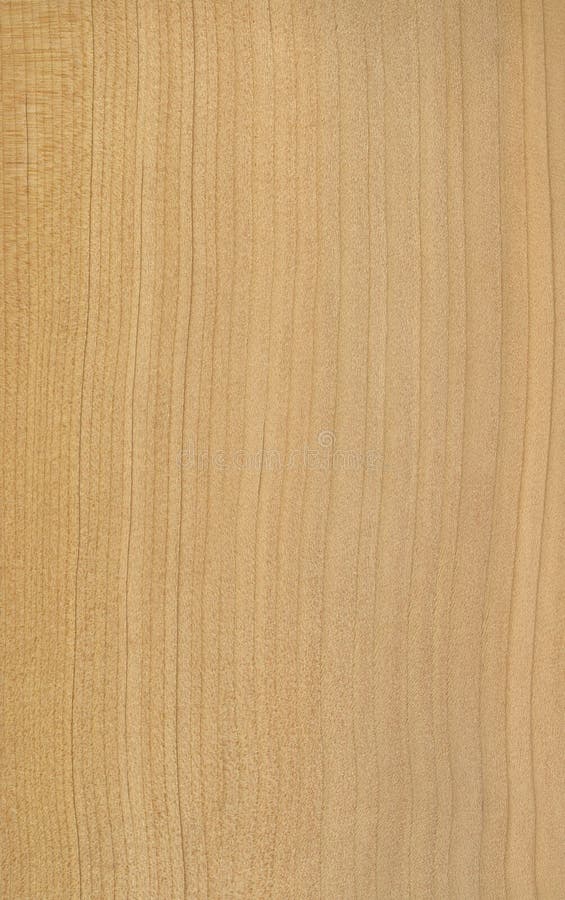 Textura De Madeira Do Folheado Do Cedro Imagem de Stock - Imagem de ...