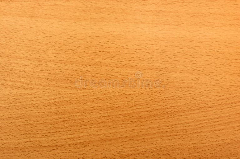 Textura de madeira - faia foto de stock. Imagem de backdrop - 7812910