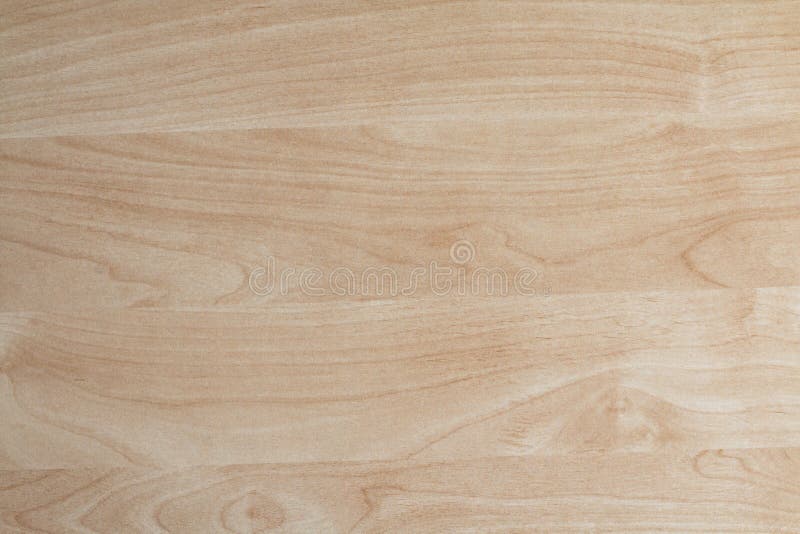 Textura De Madeira Lisa Da Faia Foto de Stock - Imagem de madeira, faia ...