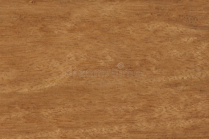 Textura de madeira natural imagem de stock. Imagem de hardwood - 12020279