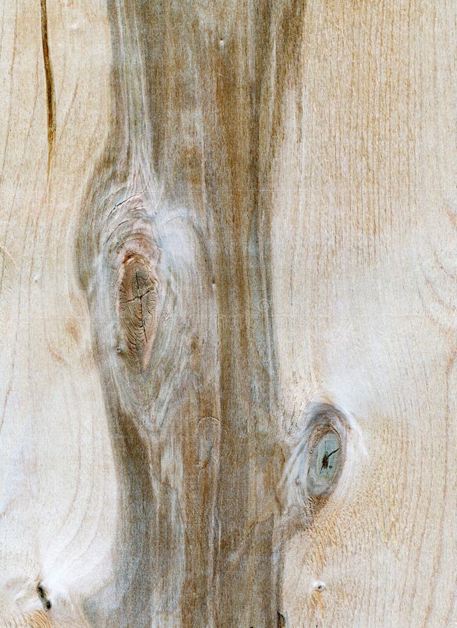 Textura de madeira natural foto de stock. Imagem de madeira - 37157324