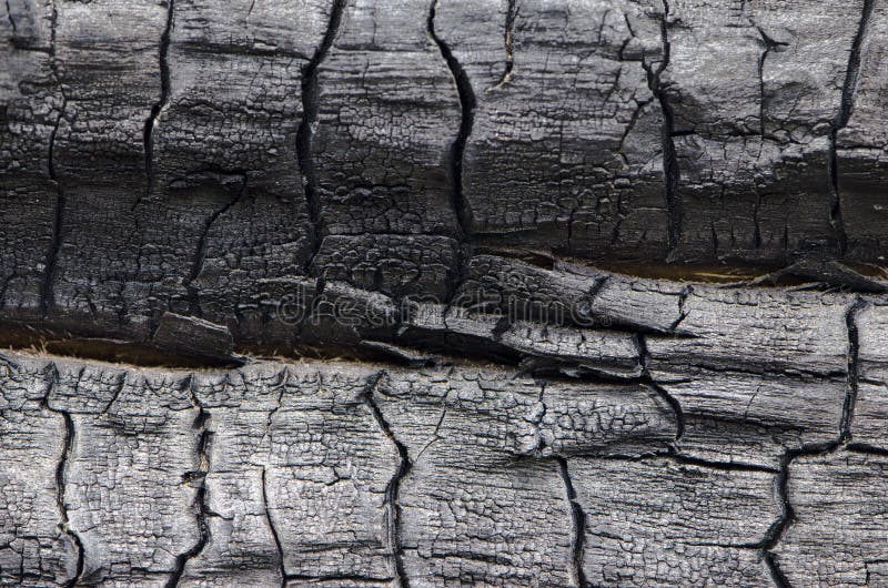 Textura De Madeira Queimada Placa Carbonizada Foto de Stock - Imagem de ...