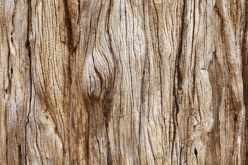 Textura de madeira rústica foto de stock. Imagem de resistido - 55805338