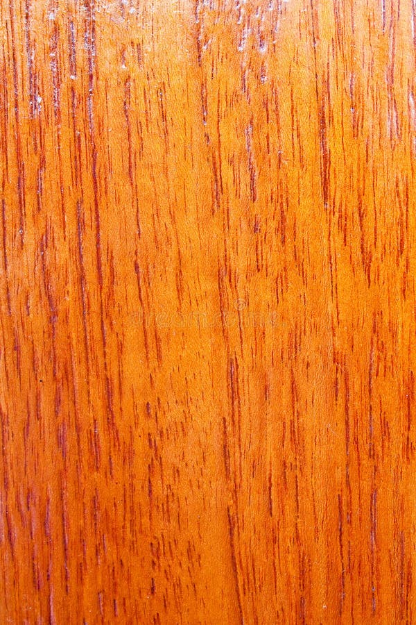 Textura De Madeira Tropical Foto de Stock - Imagem de arquitetura ...