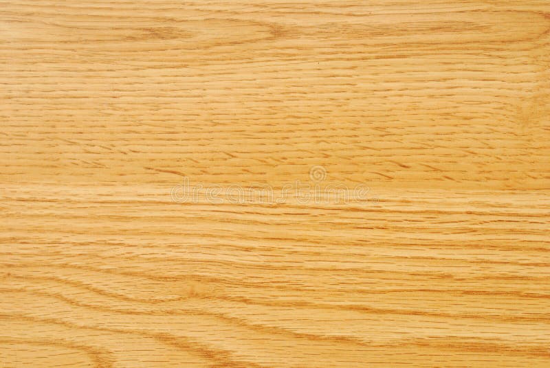 Textura de madera del arce imagen de archivo. Imagen de panel - 24742473