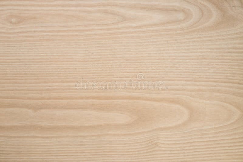 Textura de madera del arce imagen de archivo. Imagen de panel - 46748787