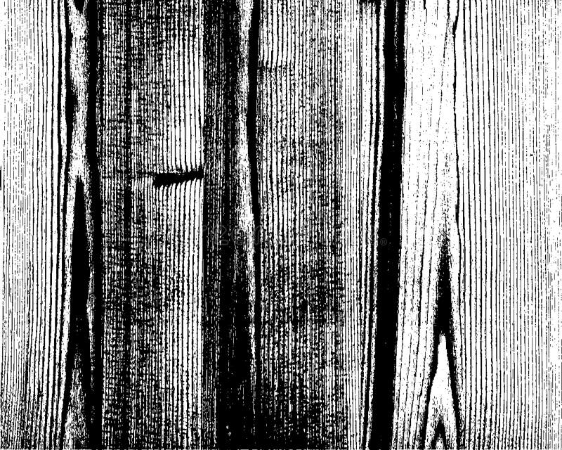 Textura De Madera Apenada De La Capa Ilustración del Vector ...