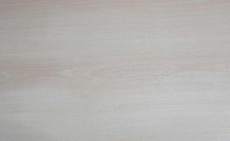 Textura De Madera Clara Natural Foto de archivo - Imagen de hormiga ...