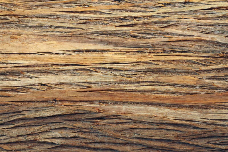 Olmo Textura De Madera Fotos De Stock - Descarga 1,017 Fotos Libres de ...