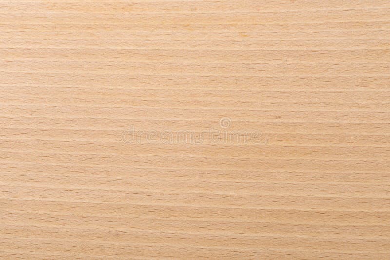 Textura de madera de haya imagen de archivo. Imagen de pared - 36535585