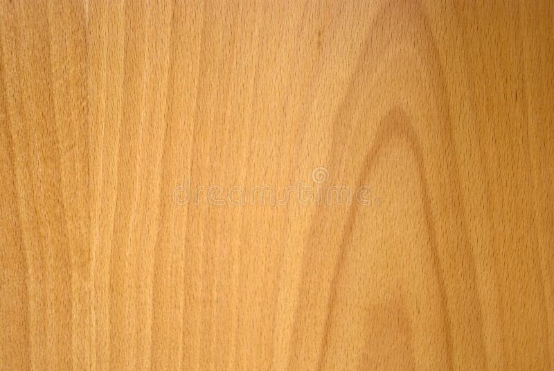 Textura de madera de haya imagen de archivo. Imagen de elegante - 4923943