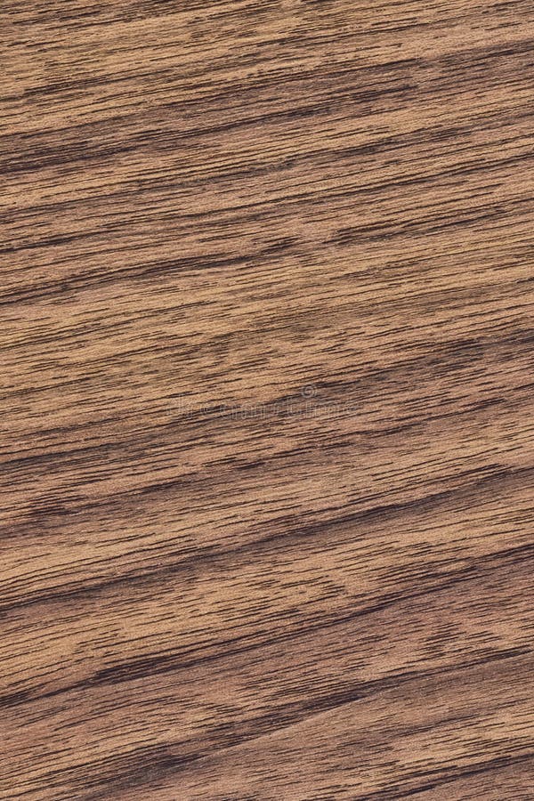 Textura De Madera De La Nuez Foto de archivo - Imagen de macro, color ...