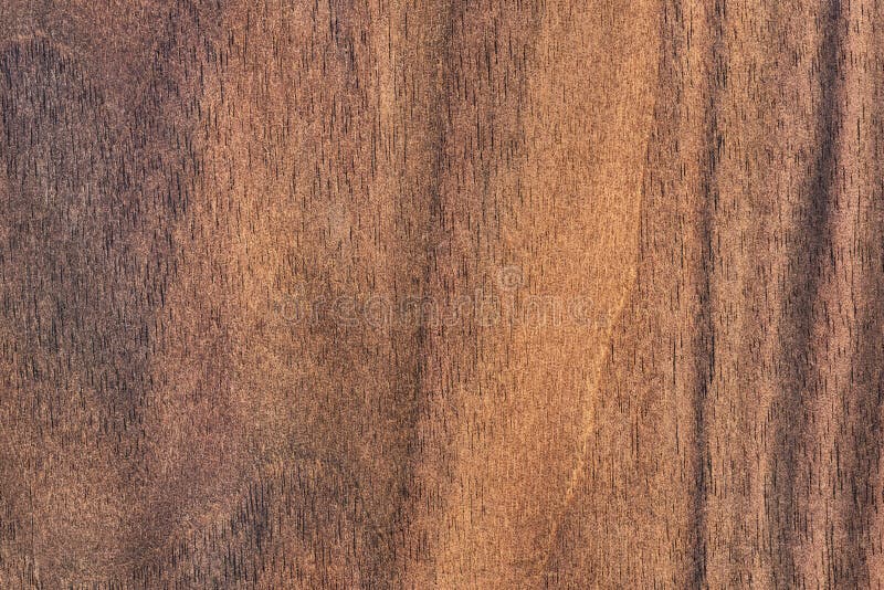 Textura De Madera De La Nuez Imagen de archivo - Imagen de madera ...