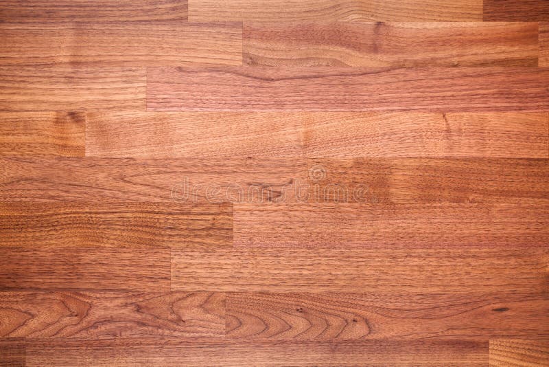 Nuez Para Los Muebles De Madera Foto de archivo - Imagen de metal ...