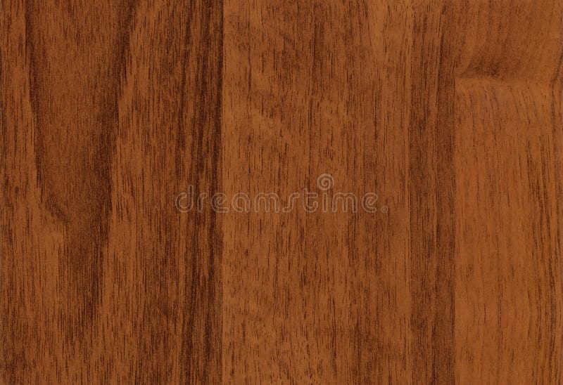 Textura De Madera De La Nuez Del Primer Imagen de archivo - Imagen de ...